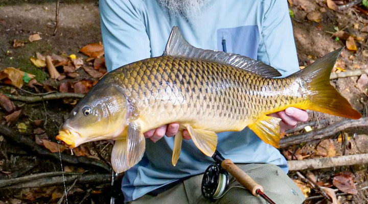 Skwala Lounge – Page 2 – Skwala Fishing