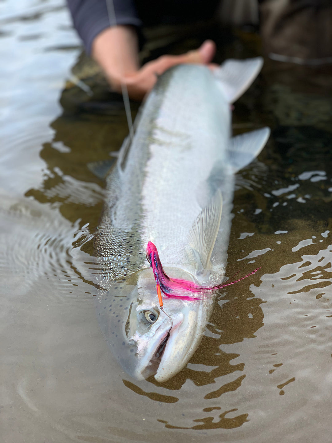 Todd Scharf – Skwala Fishing